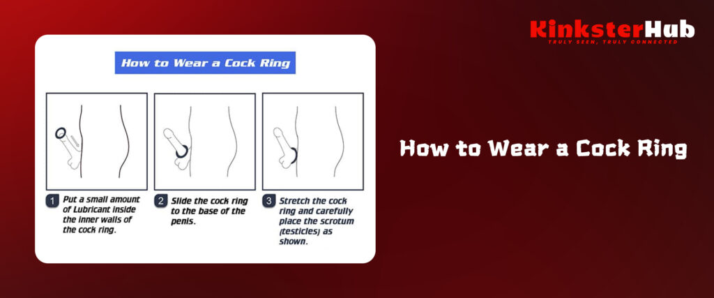 How to Put On and Wear a Cock and Ball Ring Safely | Kinksterhub Blog